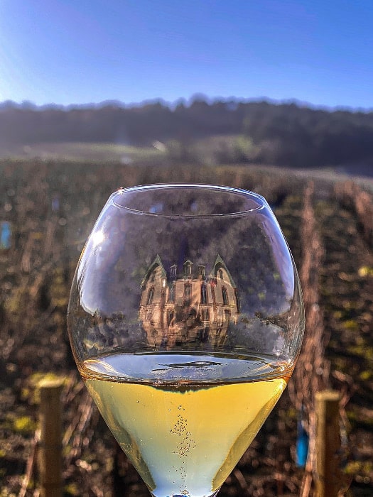 Restaurant au cœur des vignes - Un voyage culinaire au Château de Sacy