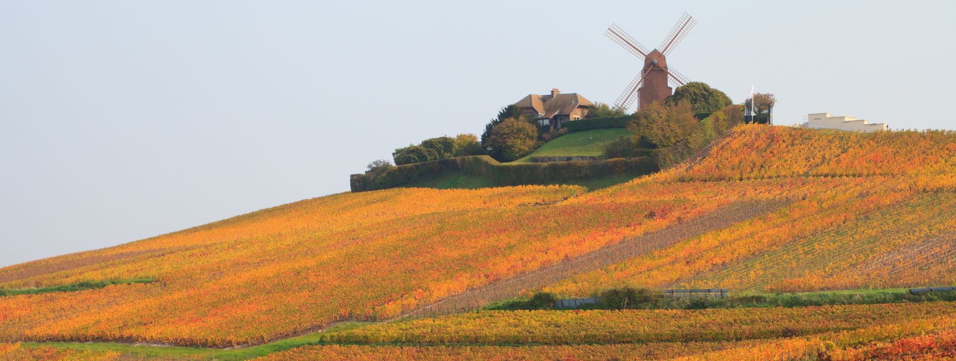 La Montagne de Reims - Château de Sacy